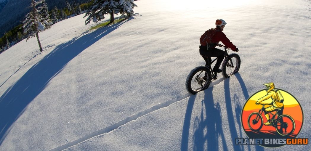 What is A Fat Bike and Benefits of Fat Bikes (2021 guide) | Planet ...
